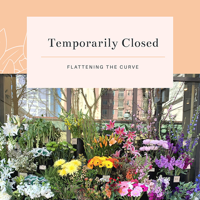 send flowers Portland, Oregon: Portland Florist since 1938 Gifford's ...